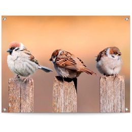 Reinders Poster &raquo;Vogelfamilie&laquo; beige Leinwand