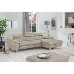COTTA Ecksofa &raquo;Komaris L-Form, B: 244 cm&laquo; mit Kopfteilverstellung, optional Bettfunktion, Bettkasten & Licht grau Microfaser PRIMABELLE (100% 