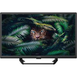 Strong LED-Fernseher &raquo;SRT 24HE4023C&laquo; 60 cm/24 &prime;&prime; HD ready Video-Streaming: Netflix, Youtube, Amazon Prime Video, Disney+ schwarz Timer direkt via EPG setzen