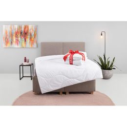 OTTO home Microfaserbettdecke &raquo;Caelan, kaufe eine Decke - erhalte die Leichtbettdecke gratis dazu!&laquo; leicht F&uuml;llung 100% Polyester 1 Stk. tlg. 