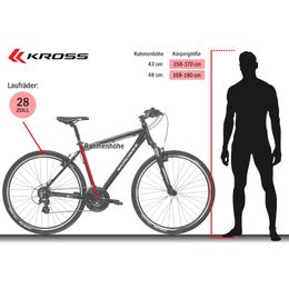 Crossrad &raquo;Crossrad Herren 28" Move 1.0 grau 21 G&auml;nge&laquo; 21 Gang Shimano ALTUS M310 Schaltwerk Kettenschaltung Crossrad