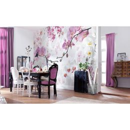 Komar Fototapete &raquo;Allure&laquo; bedruckt glatt 400 x 260 cm (Breite x H&ouml;he) - Tapete, Vlies, Wohnzimmer, Schlafzimmer rosa Vlies