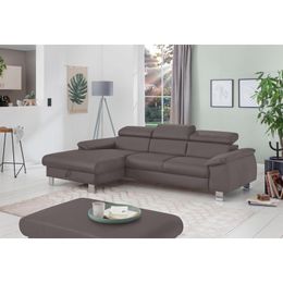 COTTA Ecksofa &raquo;Komaris L-Form, B: 244 cm&laquo; mit Kopfteilverstellung, optional Bettfunktion, Bettkasten & Licht grau Microfaser PRIMABELLE (100% 