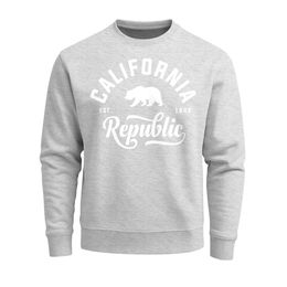 Neverless Sweatshirt 'California' male Grey size XS