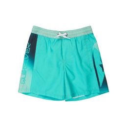 Quiksilver Herren Badeshorts &raquo;Everyday Holmes Volley 16"&laquo; 10