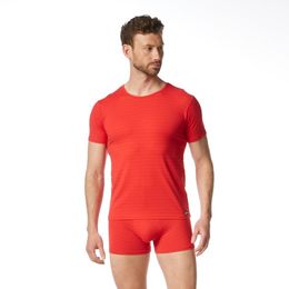 Bruno Banani Herren Rundhalsshirt &raquo;CHECK LINE 2.0&laquo; h&uuml;ftbedeckend, elastisch rot 7 (XL)