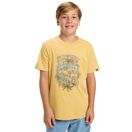 Quiksilver Jungen T-Shirt &raquo;Ev In Waves&laquo; 8