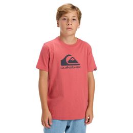 Quiksilver Jungen T-Shirt &raquo;Ev Comp Logo&laquo; 10