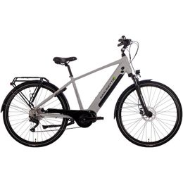 Saxonette Herren SAXONETTE &raquo;Premium Sport (Diamant)&laquo; 10 Gang Kettenschaltung Mittelmotor 250 W Pedelec, Elektrofahrrad f&uuml;r Herren silber