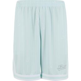 Karl Kani Herren Shorts &raquo; Small Varsity Logo Pinstripe Mesh Shorts&laquo; XS, US-Gr&ouml;&szlig;en