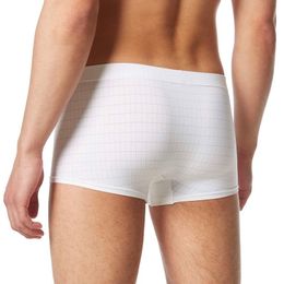 Bruno Banani Herren Hipster &raquo;CHECK LINE 2.0&laquo; 8 (XXL)