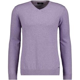 Ragman Herren Ragman V-Ausschnitt-Pullover 54