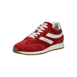Nero Giardini Sneaker in Rubinrot | Gr.: 37