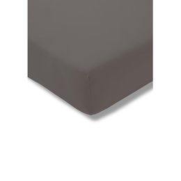 Estella Spannbetttuch Jersey-Stretch in grafit | Gr.: 200 x 200 cm