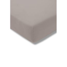 Estella Spannbetttuch Jersey-Stretch in kiesel | Gr.: 100 x 200