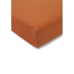 Estella Spannbetttuch Jersey-Stretch in terracotta | Gr.: 100 x 200