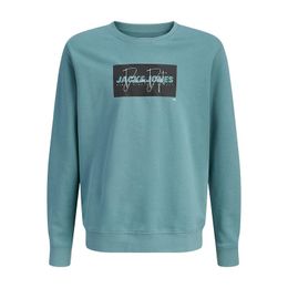 Jack & Jones Jack & Jones Junior Herren Sweatshirt &raquo;JJCOLE PRINT SWEAT CREW JNR&laquo;, mit Logoprint 128