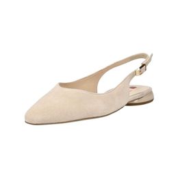 H&ouml;gl H&ouml;gl Damen Ballerina &raquo; Ballerinas Veloursleder&laquo; 41