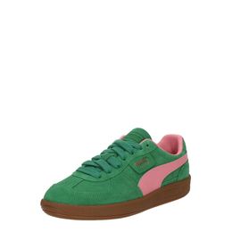 Puma Sneaker 'Palermo' Gr&ouml;&szlig;e 22 schilf / hellpink