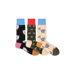 DillySocks Socks 'Around the World' female Mixed colors size 41-46