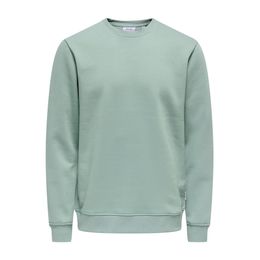 Only & Sons Only & Sons Sweatshirt 'ONSCONNOR' male Green size S