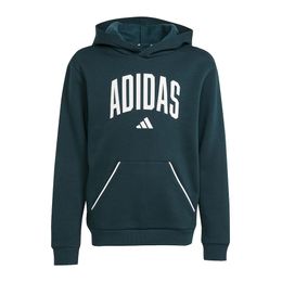 adidas Sportswear Athletic Sweatshirt boy Green size 152