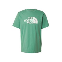 The North Face Shirt 'EVOLUTION HALF DOME' male Green size XS