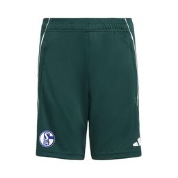 adidas Performance Workout Pants 'FC Schalke 04' boy Green size 152