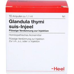 Heel Glandula Thymi suis Injeel Ampullen 10 St
