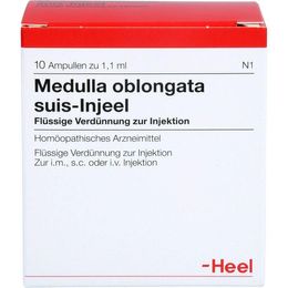 Heel Medulla Oblongata suis Injeel Ampullen 10 St