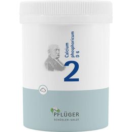 Pfl&uuml;ger&reg; Biochemie Pfl&uuml;ger 2 Calcium phosphoricum D 6 Pulv. 250 g