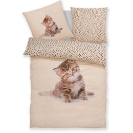 Bettw&auml;sche OTTO HOME "Lyki", katze, B/L: 135cm x 200cm, 1 Stk., 1 Stk., Microfaser, B/L: 80cm x 80cm, 2, Microfaser, Obermaterial: 100% Polyester, Bettw&auml;sche, Bettw&auml;sche, ab Gr&ouml;&szlig;e 135x200 cm, 100% Polyester, Katze, Pferd, L&ouml;we, Pinguin