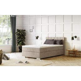 Boxspringbett COTTA "Simba", grau (platinum), L:209cm, Komplettbetten, Boxspringbett, Topseller wahlweise mit oder ohne Matratze und Topper bestellbar, Topseller