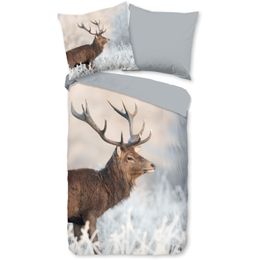 Wendebettw&auml;sche Good Morning "Wess", grau, B/L: 135cm x 200cm, 1 Stk., 1 Stk., Renforc&eacute;, B/L: 80cm x 80cm, 2 Stk., Renforc&eacute;, Obermaterial: 100% Baumwolle, Bettw&auml;sche, Wendebettw&auml;sche, Baumwolle, Renforc&eacute;, Rei&szlig;verschluss, Wende, Reh, Hirsch, winter, Grau