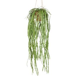 Kunstpflanze Creativ green "H&auml;ngende Rhipsalis crispata", gr&uuml;n, H:80cm, Kunststoff, Kunstpflanzen, Kunstpflanze, mit zahlreichen Ranken
