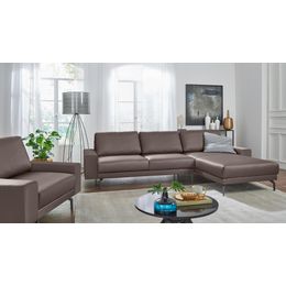 Ecksofa "CR.450, Designecksofa, L-Form", beige (beigegrau 534, 26), B:274cm H:85cm T:178cm, Luxus-Microfaser (100% Polyester), CREATION BY ROLF BENZ, Sofas, Ecksofa, Armlehne breit und niedrig, Alugussf&uuml;&szlig;e in umbragrau, Breite 274 cm