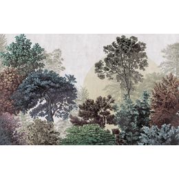 Vliestapete Komar "Digitaldruck Vlies - Bois Brumeux - Gr&ouml;&szlig;e 400 x 250 cm", bunt (gr&uuml;n, blau, wei&szlig;), B:400m L:250m, Vlies, Tapeten, Wohnzimmer, Schlafzimmer