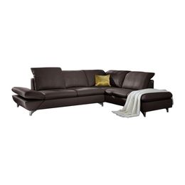 Ecksofa W.Schillig "Taoo, elegant und zeitlos, bequem, L-Form", braun (braun z59), B:296cm H:84cm T:242cm, Longlife Xtra-Leder Z59: Glattleder mit modischer Pr&auml;gung. Hautst&auml;rke 0, 9 - 1, 1 mm, Sofas, Ecksofa, mit Sitziefenverstellung & Kopfteilverstellung