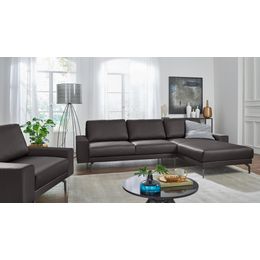 Ecksofa "CR.450, Designecksofa, L-Form", braun (graubraun 534, 49), B:274cm H:85cm T:178cm, Luxus-Microfaser (100% Polyester), CREATION BY ROLF BENZ, Sofas, Ecksofa, Armlehne breit und niedrig, Alugussf&uuml;&szlig;e in umbragrau, Breite 274 cm