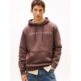 Tommy Jeans "TJM REG LINEAR LOGO HOODIE EXT", mit Logo-Stickerei