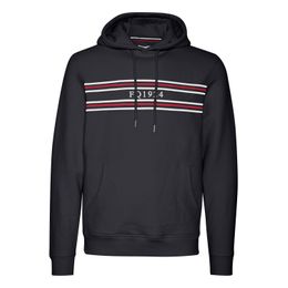 Kapuzenpullover FQ1924 "Hoodie FQWilliam", Herren, Gr. M, blau (salute), Obermaterial: 65% Viskose CV. 30% Polyester PES. 5% Elasthan EL., Pullover Kapuzenpullover