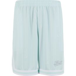Shorts Karl Kani "Karl Kani Small Varsity Logo Pinstripe Mesh Shorts", Herren, Gr. S, US-Gr&ouml;&szlig;en, turquoise, 100% Polyester, relaxed fit, Hosen Shorts