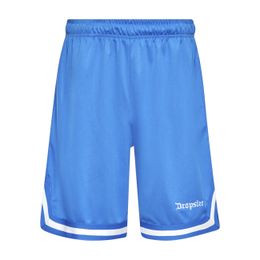 Shorts DROPSIZE "Dropsize Herren Dropsize Logo Mesh Shorts", Herren, Gr. L, US-Gr&ouml;&szlig;en, royal blau, 100% Polyester, loose fit, Hosen Shorts