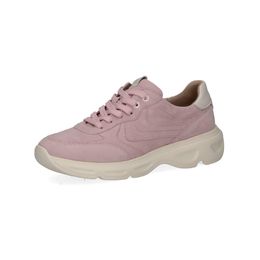 Sneaker Caprice "Caprice Sneaker Leder", Damen, Gr. 40, rose, Leder, Schuhe Sneaker