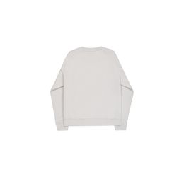 Sweater Alpha Industries "Foam ML Sweatshirt", Herren, Gr. S, pastel grau, Obermaterial: 80% Baumwolle, 20% Polyester, regular fit, Sweatshirts Sweater