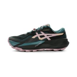asics Gel Trabuco 14 GTX Damen