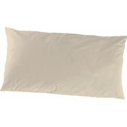 Kissenbezug Primera "Primera Mako-Feinjersey Kissenbezug im Doppelpack", beige, B:80cm L:40cm, Feinjersey, Obermaterial: 100% Baumwolle, Kissenbez&uuml;ge, Kissenbezug, In vielen Uni-T&ouml;nen