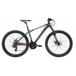 Mountainbike Bikestar Gr. 41, gr&uuml;n, Fahrr&auml;der, 41cm, 26 Zoll (66,04cm), f&uuml;r Damen und Herren, Kettenschaltung
