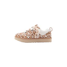 UGG Australia UGG Sneaker 'Lo Lowmel Plains' Damen Gr&ouml;&szlig;e 43 braun / cappuccino / wei&szlig;