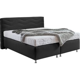 Boxspringbett, B:215cm L:210cm, schwarz, Westfalia Schlafkomfort, Bezug Bett: Microvelours (100% Polyester) oder Feinstruktur (100% Polyester);Bezug